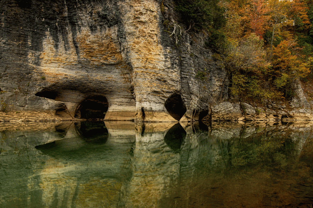 The Natural State | Brennen Nicole Photography