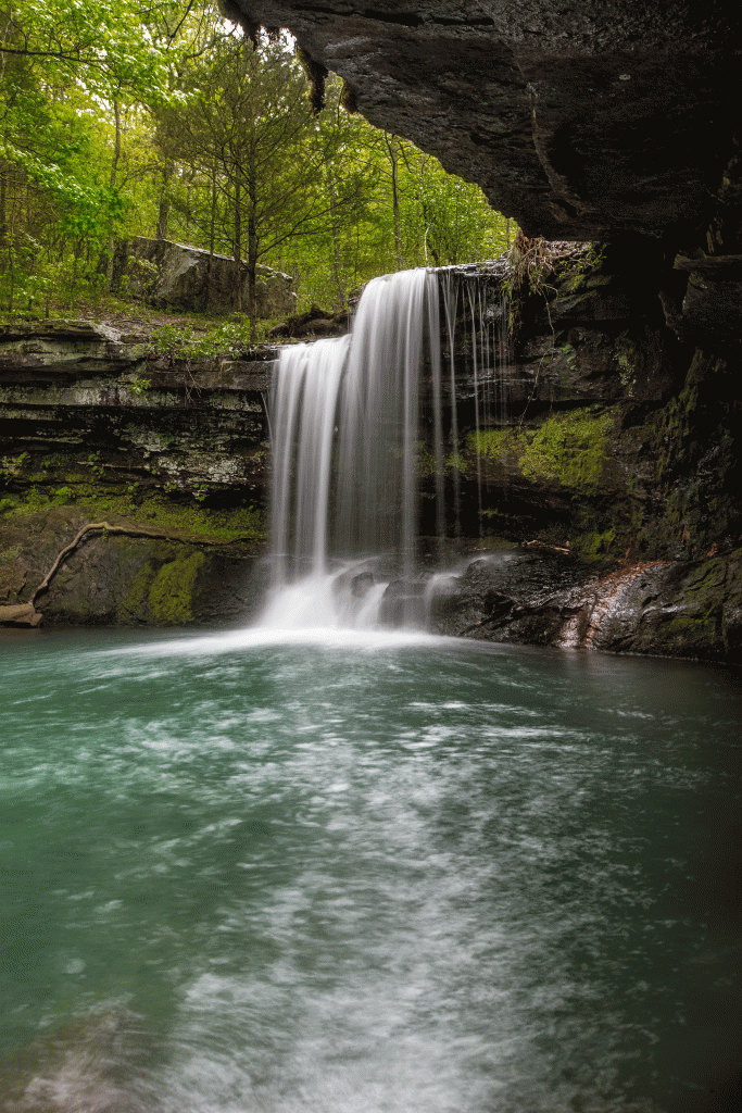 The Natural State | Brennen Nicole Photography